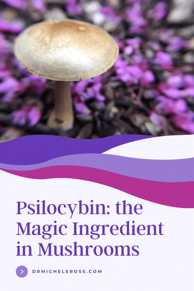 Psilocybin: The Magic Ingredient in Psychedelic Mushrooms